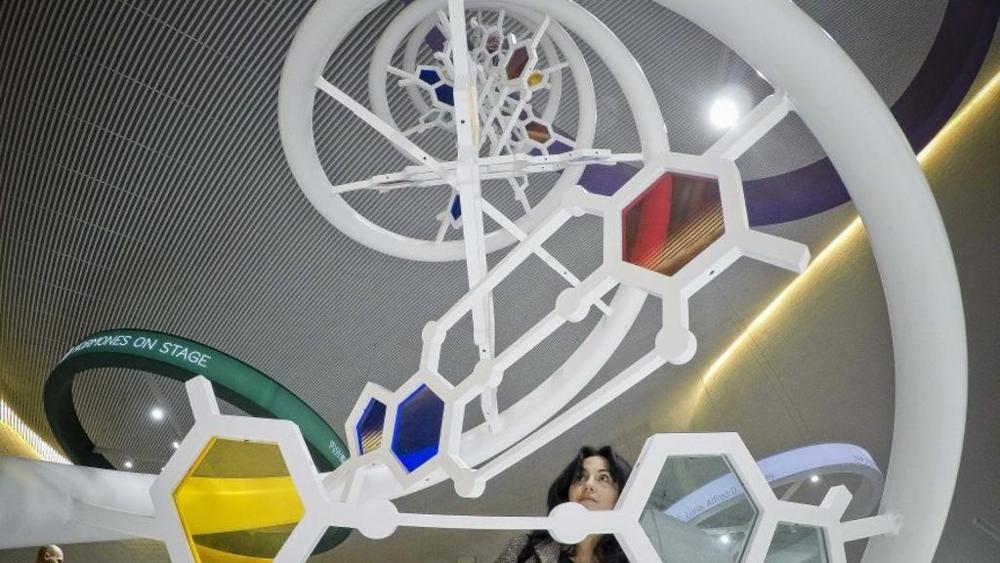 Corporea: museo interattivo sul corpo umano a Napoli